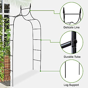 Peach Tree Outdoor Garden Arch Gothic 8' 4" H x 4' 7" W Arbor Iron Black Trellis Metal Weather Resistant Wall Art Climbing Plant Growing Lawn Backyard