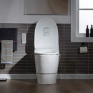 WOODBRIDGE T-0041 Toliet, White