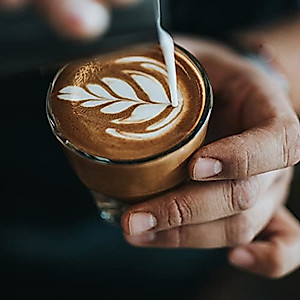 Cuisinox Stainless Steel Turkish Cezve Coffee Pot, 24 oz.