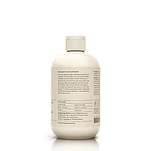 ION Intelligence of Nature Gut Support for Pets | Strengthens Digestion, Supports Kidneys, Aids Immune Function, and Defends from Food Toxins (16 Ounce)