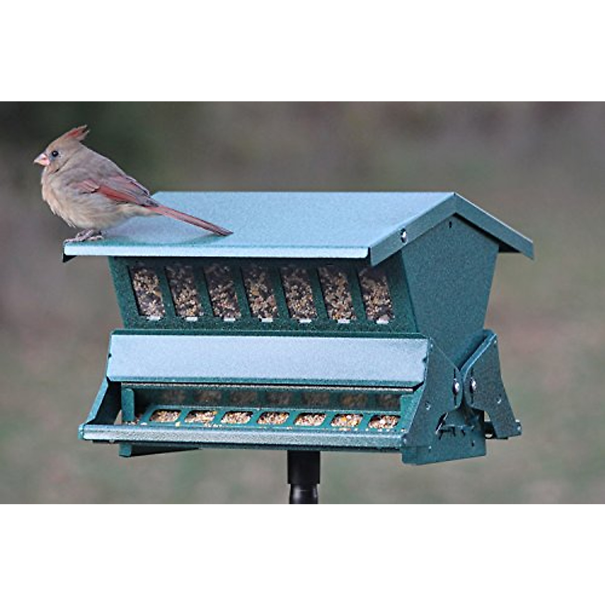 H-F Green Absolute II Two Sided Feeder With Windows