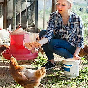 GRRONZEE 120Pack Egg Cartons Cheap Bulk One Dozen Clear Empty Egg Cartons for Chicken Eggs, Reusable Egg Carton for Home Ranch Chicken Farm, Commercial Business Market Display, 3x4 Grids