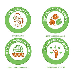 ecozoi Stainless Steel Lunch Box, Leak Proof 3 Compartment, Medium | Redesigned Silicone Seal | Sustainable Zero Waste Eco Friendly Bento Box Food Storage Container