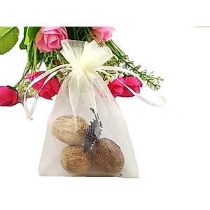 SumDirect 100Pcs 4x6inch Sheer Drawstring Organza Jewelry Pouches Wedding Party Christmas Favor Gift Bags (Beige)