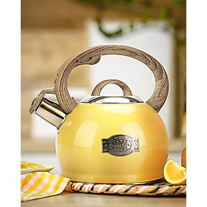 Hauce Radio Stovetop Tea Kettle, 2.1 Quart Stove Top Whistling Tea Kettles,Water Teapot Induction Tea Kettle with Food Grade Stainless Steel and Silicone Anti-Hot Handle, Suitable for All Heat Sources