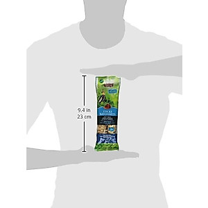 Living World Cockatiel Honey Treat Sticks, 4-Ounce