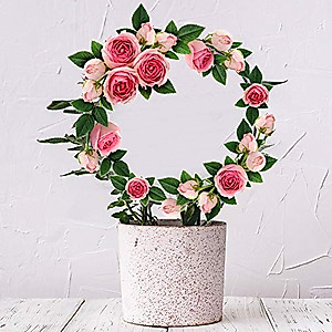 2 Pack Black Iron Garden Trellis for Climbing Plants- 13" Rust Free Vine Plant Metal Support Wire with Black Coating Decorative Potted Plants Climbing Holder Rack for Garden Stem Stalks Vines (Round)