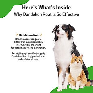Pet Wellbeing Dandelion Root for Dogs & Cats - Liver & Heart Health, Digestive Function, Blood Sugar Support, Certified Organic - Veterinarian-Formulated Herbal Supplement 4 oz (118 ml)