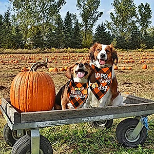 Chngeary Dog Bandana for Dogs(2 Pack),Classic Orange Plaid Style Thanksgiving Dog Bandana for Small Medium Large Dogs Accessories Triangle Dog Thanksgiving Scarf