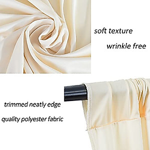 10ft x 10ft Champagne Backdrop Curtain for Baby Shower Wrinkle Free Backdrop Drapes Panels for Parties Wedding Bridal Shower Birthday Photo Photography Polyester Fabric Background Decoration