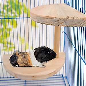 Hamiledyi Squirrel Gerbil Dwarf Wooden Platform, 2-Level of Natural Hamster Standing Platform Chinchilla Cage Accessories, Birds Perch Parrots Activity Playground
