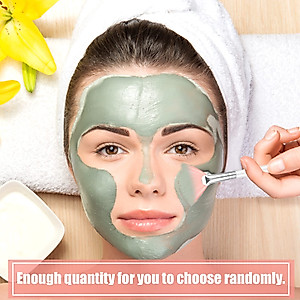 Patelai 14 Pieces Fan Brushes Applicator, Mask Brushes for Facial Makeup Tools for Face Cosmetic(Pink)