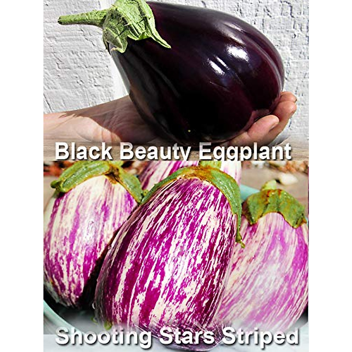 Please Read! This is A Mix!!! 30+ Eggplant Mix Seeds 11 Varieties Heirloom Non-GMO Aubergine, Asian, European, Italian, Profilic, Super Delicious, from USA