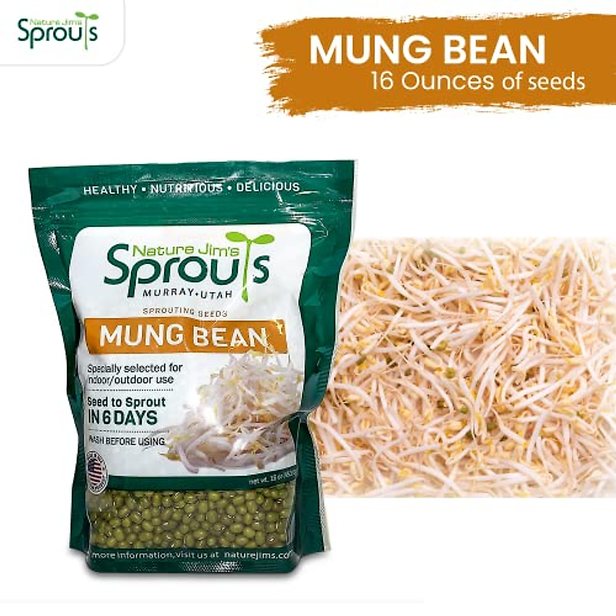 Nature Jims Mung Bean Sprout Seeds – 16 Oz Sprouting Seeds – Premium Mung Bean Seeds – NON GMO- Resealable Bag for Longer Freshness – Rich in Vitamins, Minerals, Fiber
