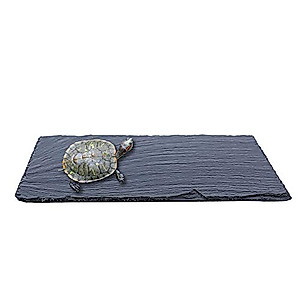 ACKEIVTO Small Slate Reptile Basking Platform Tortoise Feeding Dish Natural Rock Reptile Food Bowl Landscape Habitat Decor for Turtle Lizard Bearded Dragon Crested Gecko Snake 4 * 4