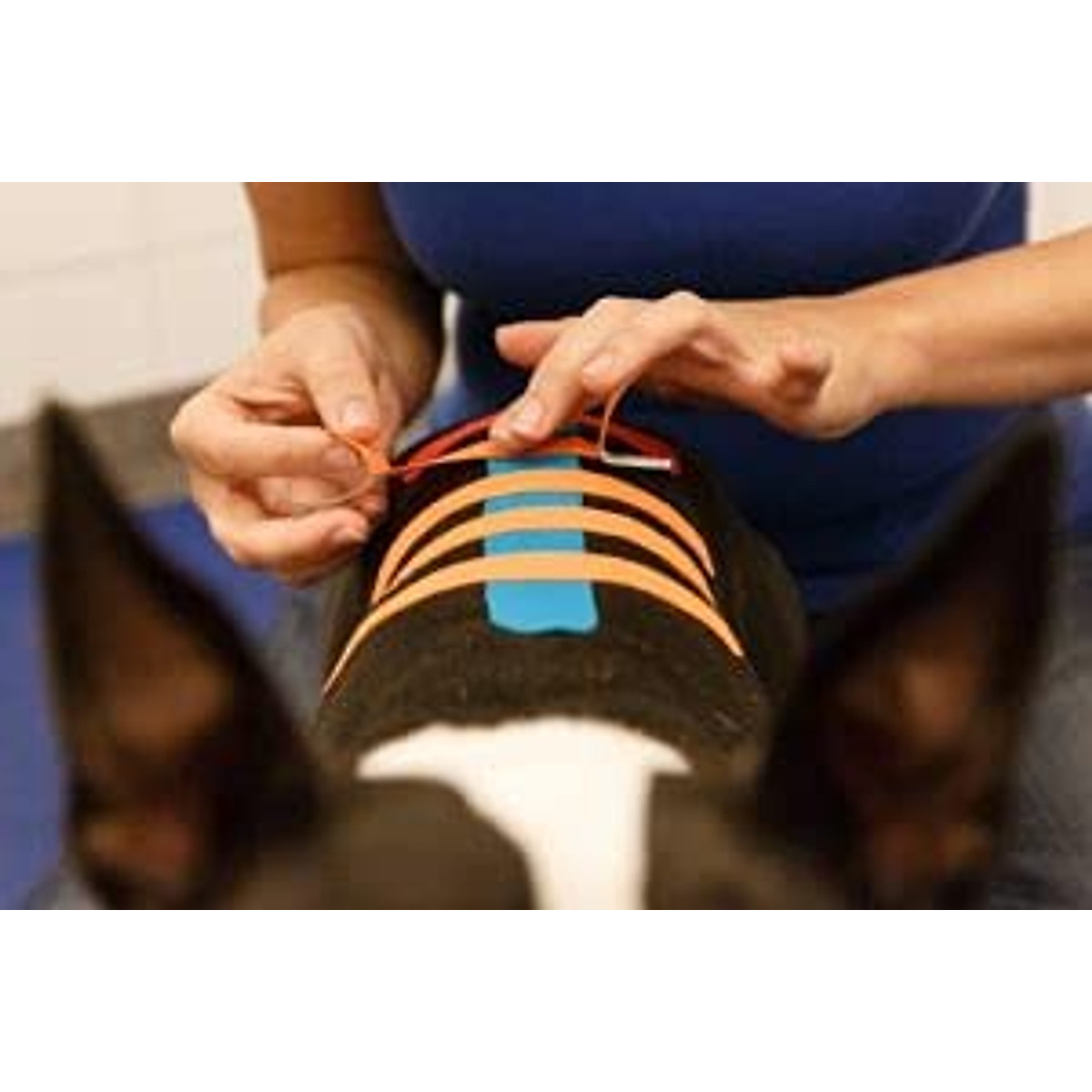 VETKIN VetkinTape® Veterinary Kinesiology Tape Blue | Kinesiology Tape for Horses & Dogs | Equine & Canine Kinesiotape | Latex Free and TÜV Quality Mark Certified Ktape | 4 inch | Pack of 1 Roll