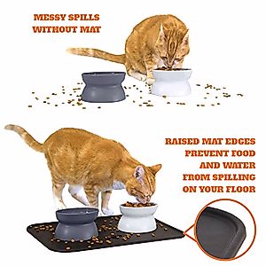 Kitty City Raised Cat Food Bowl Collection_Stress Free Pet Feeder and Waterer