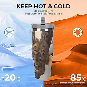 RTFGHJS Squirrel on Tree 30 Oz Tumbler with Handle And Flip Straw, Stainless Steel Vacuum Insulated Travel Mug, Thermal Cup for Coffee, Water, Iced Drinks, Fits Car Cup Holders (Home, Sports)
