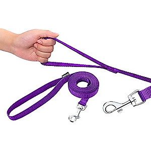 AMAGOOD 6 FT Puppy/Dog Leash, Strong and Durable Traditional Style Leash with Easy to Use Collar Hook,Dog Lead Great for Small and Medium and Large (Purple,5/8" x 6 Feet)