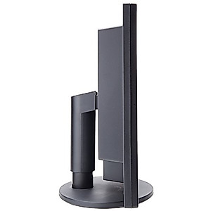 Samsung S19B420BW 19-Inch Screen LCD Monitor,Black