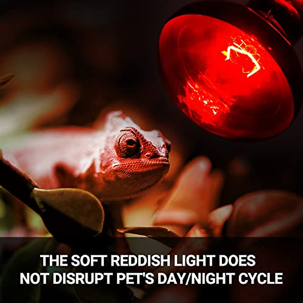 REPTI ZOO 2 Pack Infrared Heat Lamp, 100W Reptile Heat Emitter Infrared Basking Spot Light, Red Heat Lamp for Chickens Coop Reptile Pets Brooder Use