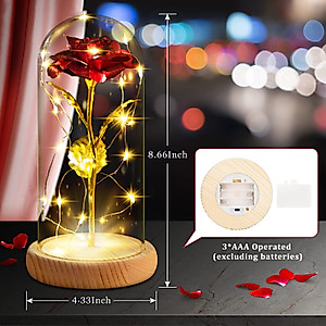 Klysimath Beauty and The Beast Rose, Red Rose Gifts for Women, Forever Rose in Glass Dome, Enchanted Rose Romantic Gifts for Her, Girlfriend, Wife, Mom, Valentine's Day, Mother's Day