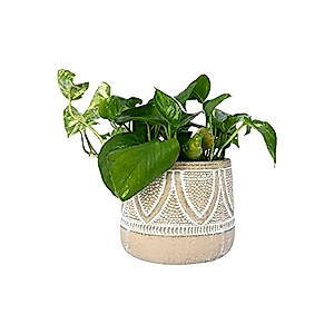 Creative Co-Op Embossed Terracotta Planter with Whitewash Finish (Holds 5" Pot