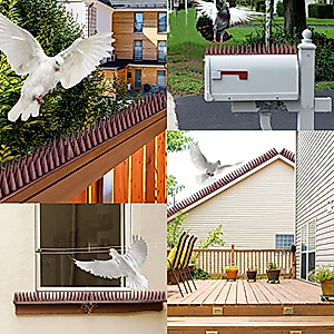 Bird Spikes, Plastic Bird Deterrent Spikes for Pigeons and Other Small Birds, Anti Bird Spikes for Outside to Keep Birds Away,Use for Outdoor Roof and Railing (20 Pack) (Brown)