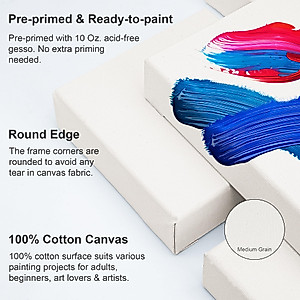 AUREUO 6x6 Inch Gallery Wrapped Canvas - 1.5 Inch Depth 4 Pack - 10 Oz Triple Gesso Primed 100% Cotton Square White Artist Canvases for Acrylic & Oil Paints