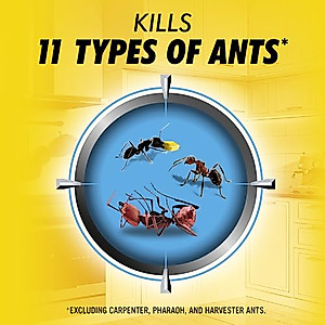 Combat Max 2 in 1 Ant Bait Station, 4 Count