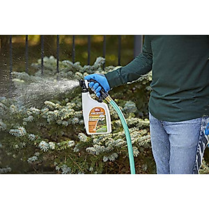 Ortho Home Defense Backyard Mosquito and Bug Killer Ready-To-Spray - Kill Mosquitoes That May Transmit the Zika Virus, 3 Month Protection, 32 oz. (2-Pack)