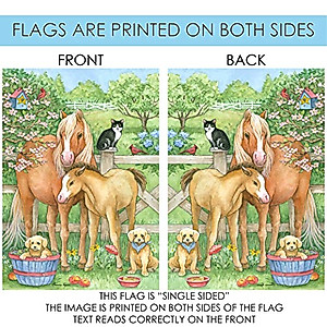 Toland Home Garden 109566 Pasture Pals Spring Flag 28x40 Inch Double Sided Spring Garden Flag for Outdoor House Horse Flag Yard Decoration