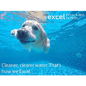 XLS-719 4 Pack Replacement Filter for Hayward SwimClear C4520. Also replaces Hayward CX875RE, Pleatco PA100N, Unicel C-7487, Filbur FC-1270 filters.