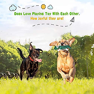 LEGEND SANDY Squeaky Dog Toys for Puppy Small Medium Dogs, Stuffed Samll Dog Toys Bulk with 12 Plush Pet Dog Toy Set, Cute Safe Dog Chew Toys Pack for Puppies Teething