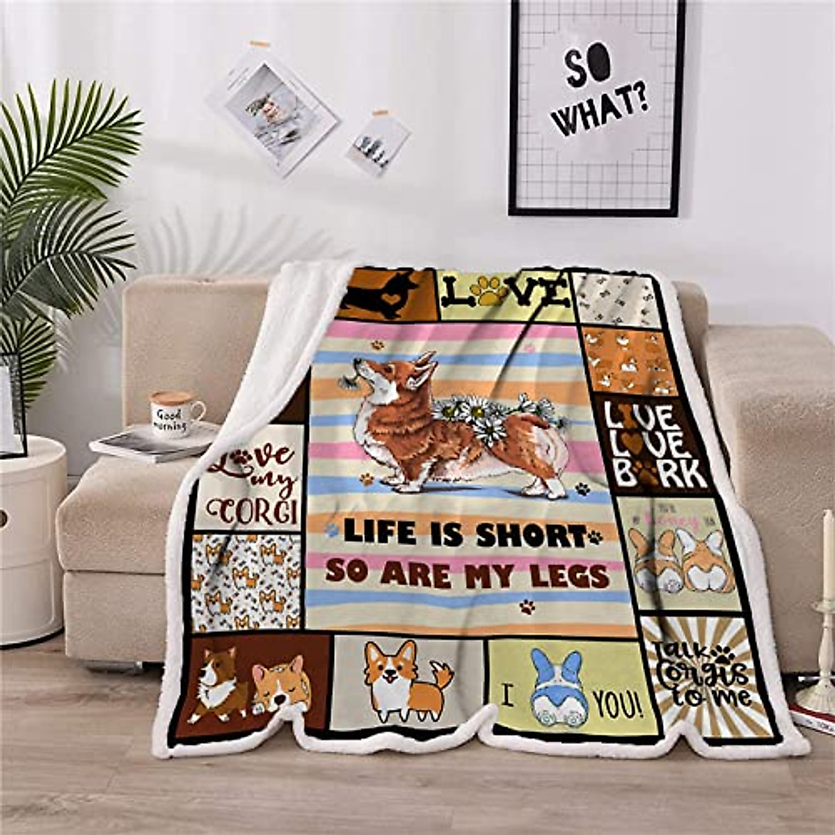 Corgi Gifts for Corgi Lovers, Cute Corgi Blanket, Lightweight Super Soft Cozy Throw Blanket for Sofa Bed Couch Chair Living Room 50 x 60 Inch, Corgi Gifts Christmas Birthday Gifts for Kids and Adults