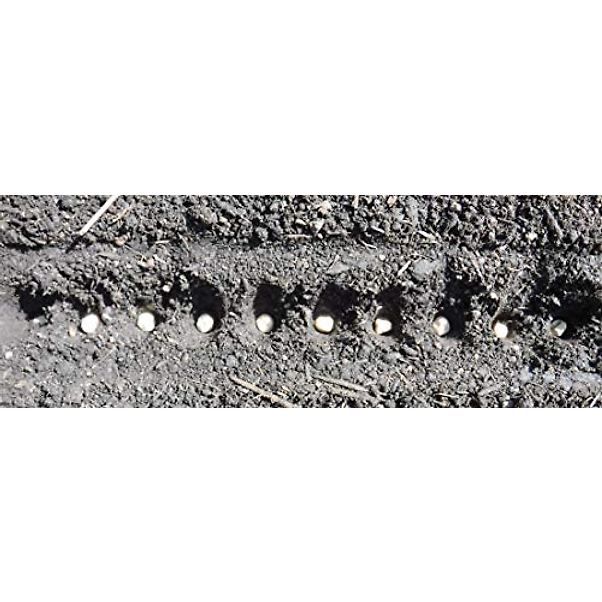 Gardinnovations Seed-in Soil Digger and Soil Spacer for Planting Seeds