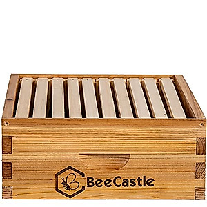BeeCastle 10 Frame Medium Super Bee Hive Box, Langstroth Honey Bee Hive Dipped in 100% Beeswax Include Beehive Frames and Wax Foundations (Unassembled)
