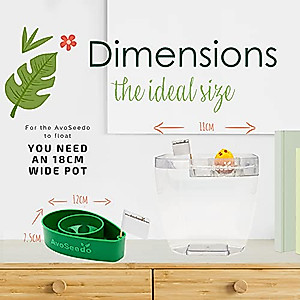 AvoSeedo Avocado Tree Growing Kit, Green, Practical Gifts for Women, Mom, Sister & Best Friend, Plant Indoors with Novelty Pit Grower Boat & Kitchen Garden Seed Starter