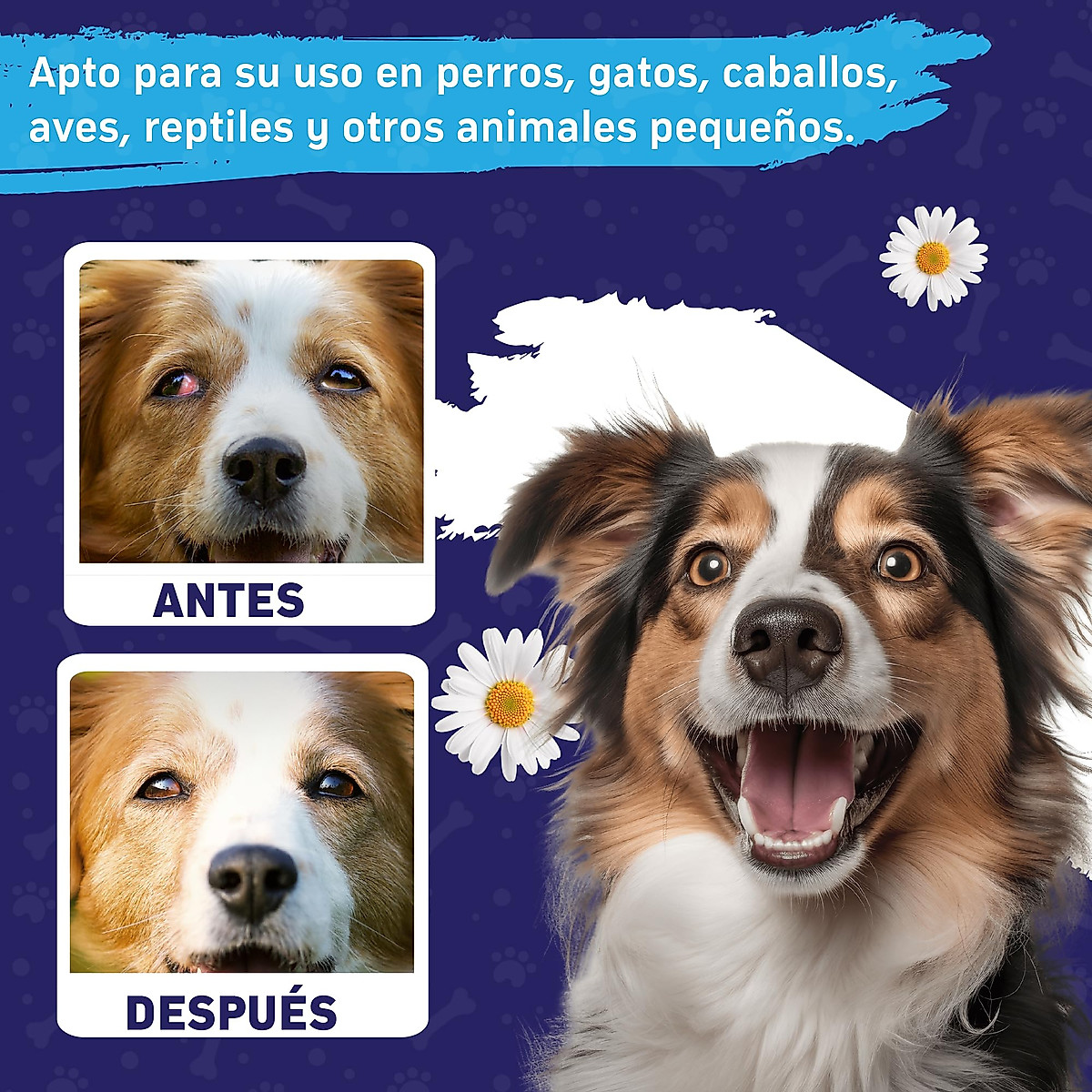 Spanielbuns Dog Eye Drops 200ml,All Natural Ingredients Eye Wash for Dogs and Cats, Cleanses Tear Stains,Goop Mucus, Improves Allergy Symptoms and Dry Eyes