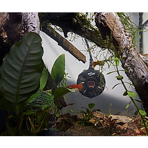 DBDPet 50w Paludarium Heater - includes Pro-Tip Guide -Works up to 15 Gallons!