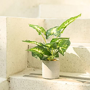 Velener 1Pc Faux Plant Indoor in Plant Pot 16"- House Plant for Farmhouse Kitchen Decor Living Room Accessories Home Office Cubicle Bookshelf Guest Room Balcony Bathroom Rustic Green Room Floor Table