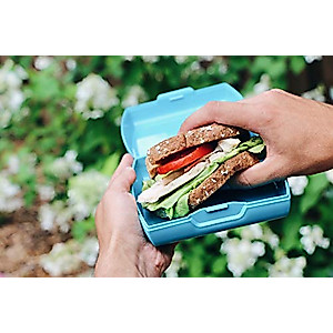 Trudeau 8oz Sandwhich Box, Tropical