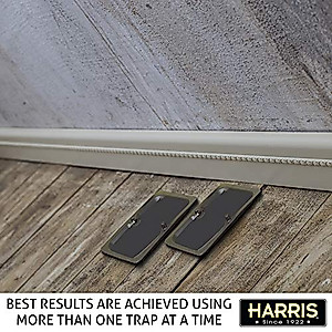 Harris Rat Glue Traps, Fully Disposable (2-Pack)