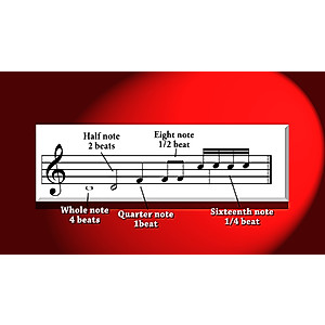Acoustic & Electric Guitar Beginning Lessons