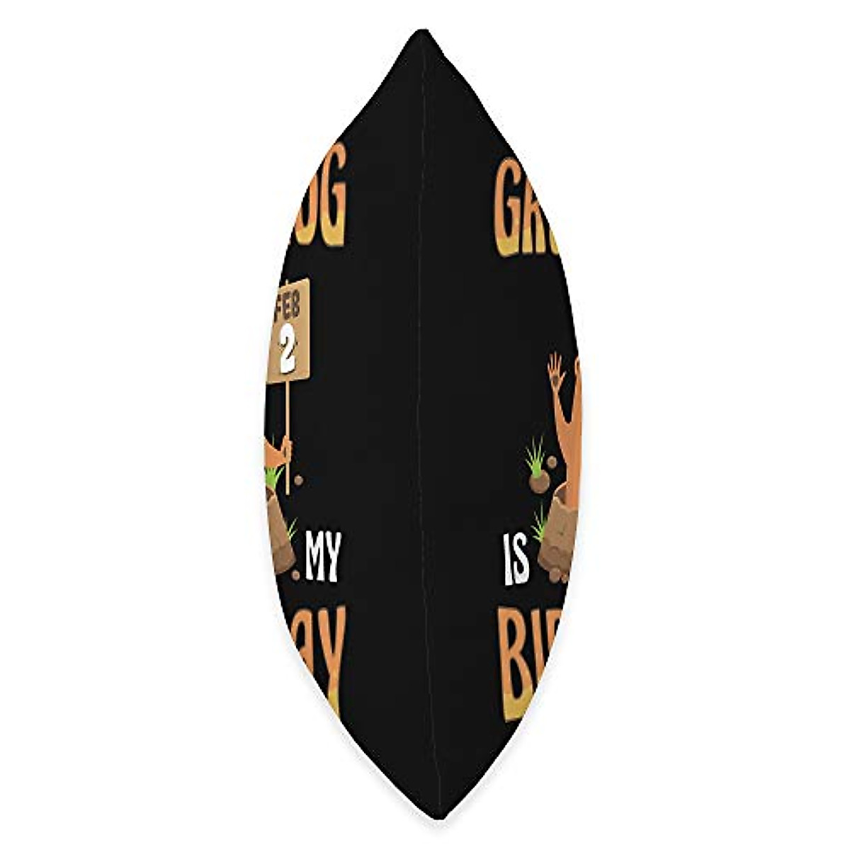 Groundhog Woodchucks Adorable Gifts Groundhog Day February 2nd 2 is My Birthday Throw Pillow, 18x18, Multicolor