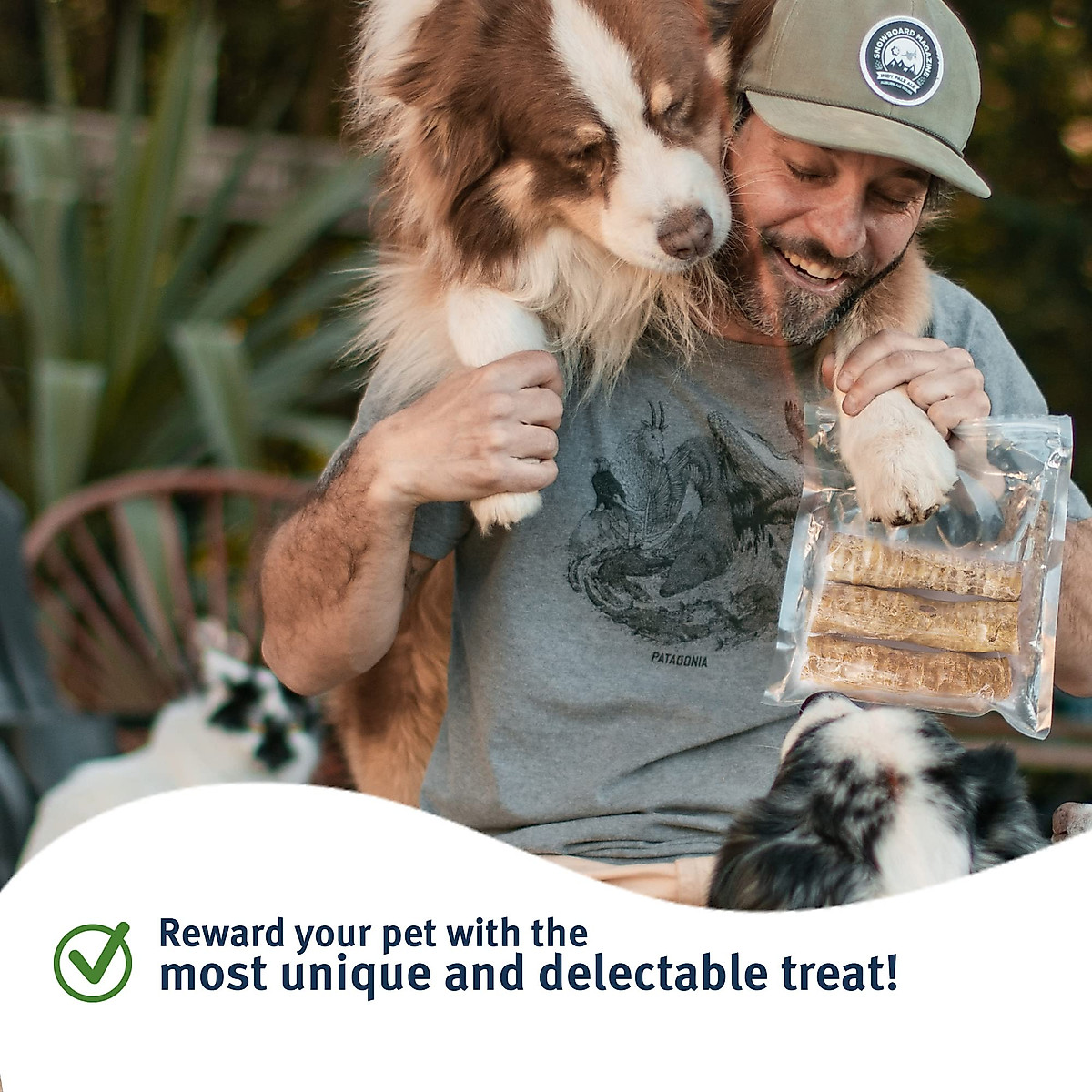 Mon Ami Beef Stuffed Trachea Dog Chews (6 inch, 9 Count) –Trachea Treats for Dogs Made from Grass Fed Beef with Glucosamine & Chondroitin – Natural Dog Treats & High Protein