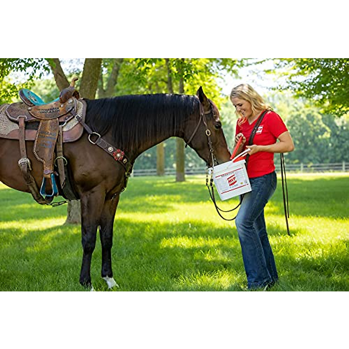 Med-Vet Exceed 6-Way Pellets 16lb