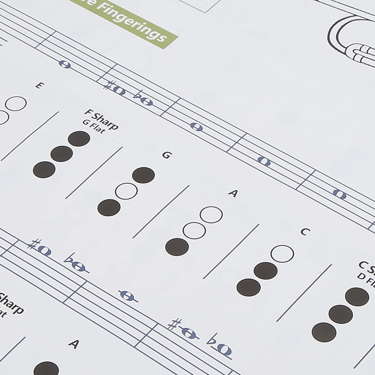 Trumpet Chord Chart Chords Reference Poster Scales Reference Fingering Practice Chart(Trumpet Chord Chart (Large Size))