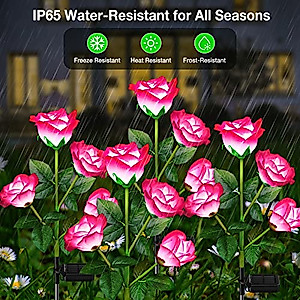 BUCASA Solar Garden Lights Outdoor 4 Pack, Upgraded Waterproof Solar Powered Outdoor Lights with 16 Rose Flowers, Bright Color Changing Solar Flower Lights for Pathway Walkway Patio Yard Lawn