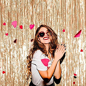 Dazzle Bright Backdrop Curtain, 3FT x 8FT Metallic Tinsel Foil Fringe Curtains Photo Booth Background for Baby Shower Party Birthday Wedding Engagement Bridal Shower (2, Champagne Gold)